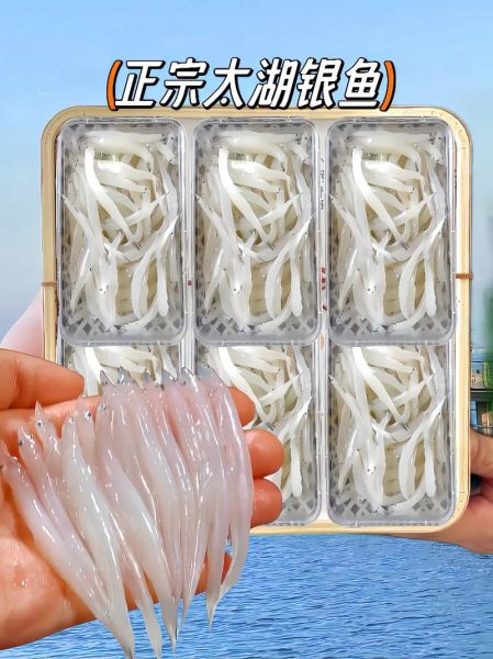 银鱼多少钱一斤_银鱼价格行情-第2张图片-山城妙识