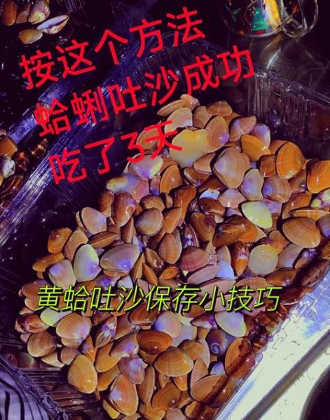 花蛤怎么吐沙子最快_花蛤吐沙最快的方法-第1张图片-山城妙识 花蛤怎么吐沙子最快_花蛤吐沙最快的方法-第1张图片-山城妙识