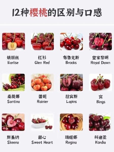 樱桃的营养价值与功效_吃樱桃有哪些好处-第1张图片-山城妙识