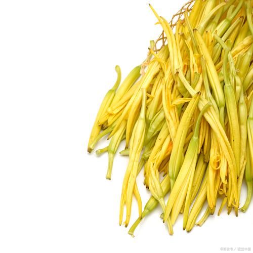 黄花菜长什么样子_新鲜黄花菜图片-第2张图片-山城妙识