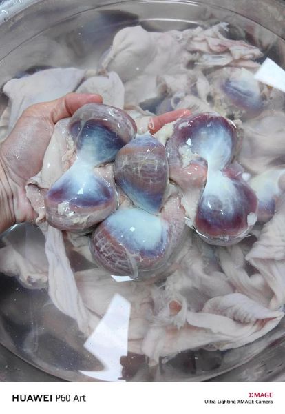 鸭胗里面是鸭屎吗_鸭胗清洗方法-第1张图片-山城妙识