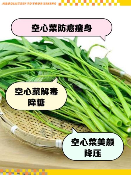 空心菜为什么不吃叶子_空心菜叶子能不能吃-第2张图片-山城妙识