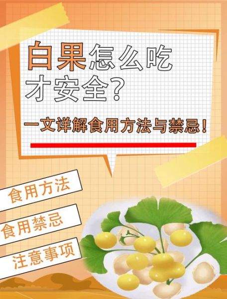 白果怎么吃_白果的吃法与禁忌-第1张图片-山城妙识
