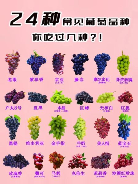 中国十大葡萄品种有哪些_哪个最好吃-第2张图片-山城妙识