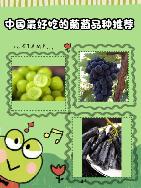 中国十大葡萄品种有哪些_哪个最好吃-第1张图片-山城妙识