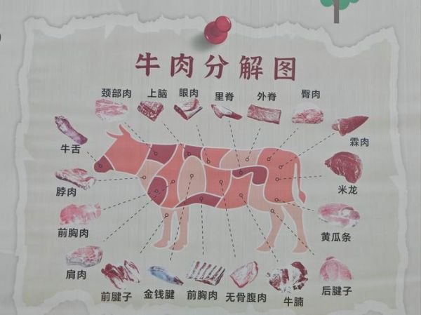 牛身上部位图怎么看_牛肉分割图解-第1张图片-山城妙识