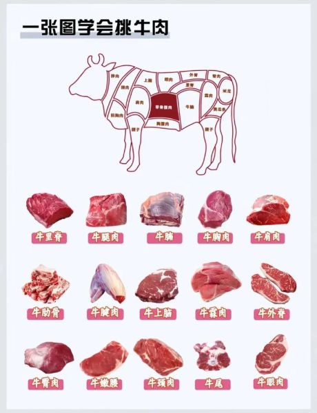 牛身上部位图怎么看_牛肉分割图解-第3张图片-山城妙识