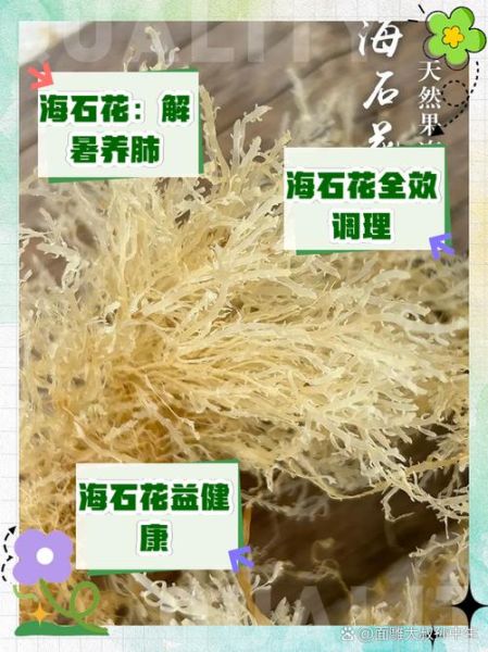 海石花哪些人不能吃_孕妇能吃海石花吗-第1张图片-山城妙识
