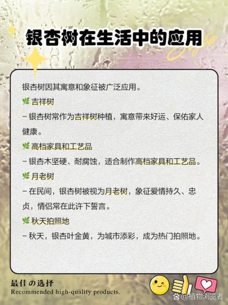 银杏树适合种在庭院吗_银杏树风水寓意是什么-第2张图片-山城妙识 银杏树适合种在庭院吗_银杏树风水寓意是什么-第2张图片-山城妙识