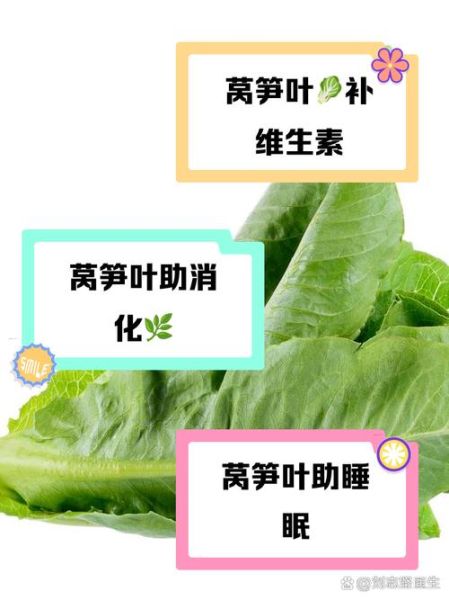莴苣叶怎么吃_莴苣叶的功效与作用-第3张图片-山城妙识 莴苣叶怎么吃_莴苣叶的功效与作用-第3张图片-山城妙识