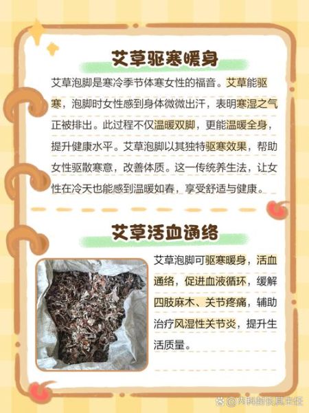 艾草泡脚有什么好处_艾草泡脚能天天泡吗-第3张图片-山城妙识