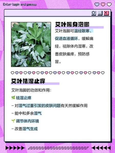 艾草泡脚有什么好处_艾草泡脚能天天泡吗-第2张图片-山城妙识