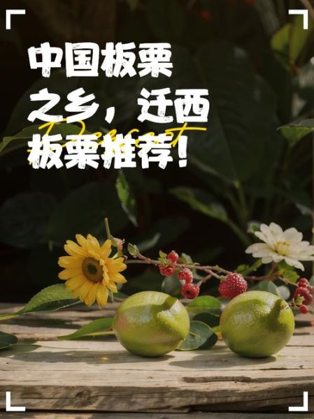 中国哪里的板栗最有名_迁西板栗为什么出名-第3张图片-山城妙识