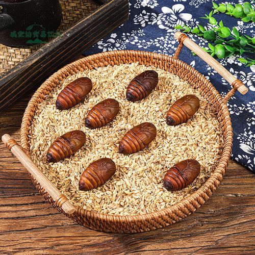 蝉蛹价格一斤多少钱_蝉蛹多少钱一斤2024-第2张图片-山城妙识