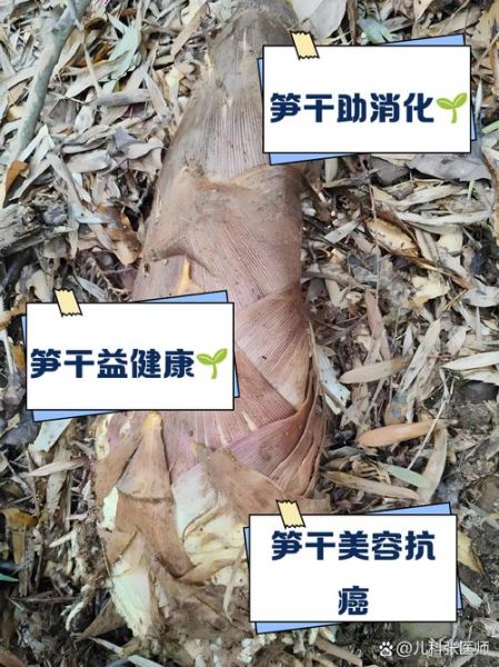 笋干的营养价值有哪些_笋干的功效与作用-第2张图片-山城妙识