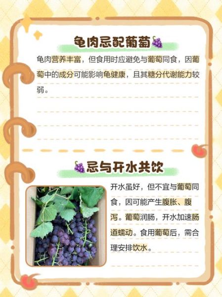 葡萄的功效与作用有哪些_吃葡萄能减肥吗-第3张图片-山城妙识