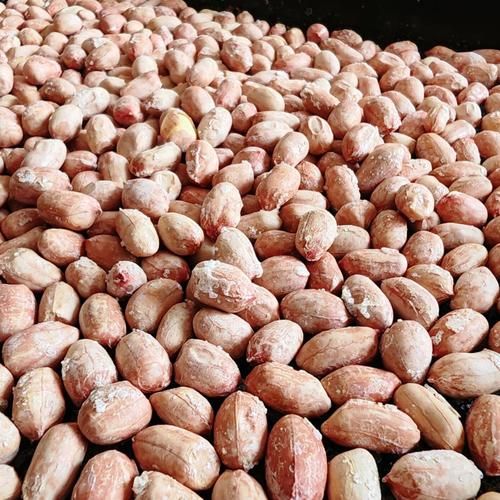 盐焗花生米怎么做才脆_盐焗花生米用粗盐还是细盐-第3张图片-山城妙识