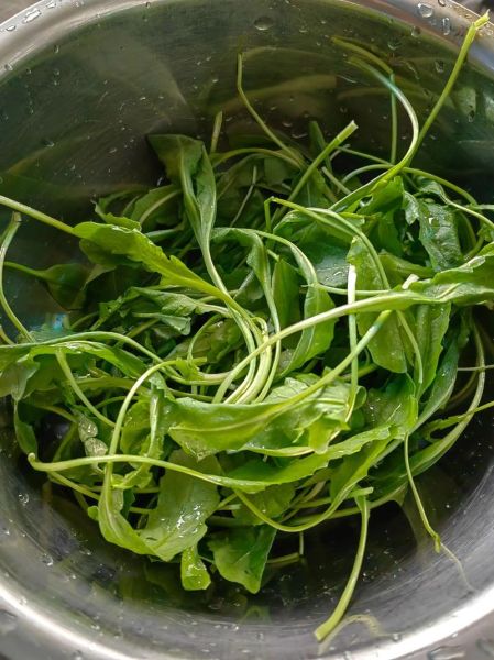 香椿和什么包素馅饺子_香椿素馅饺子怎么做-第1张图片-山城妙识