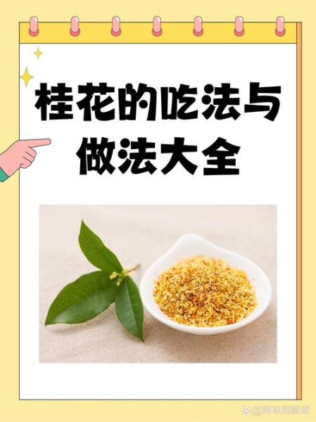 桂花茶怎么做_自制桂花茶的方法-第2张图片-山城妙识