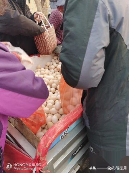 今天鸡蛋一斤多少钱_鸡蛋价格为何波动-第3张图片-山城妙识