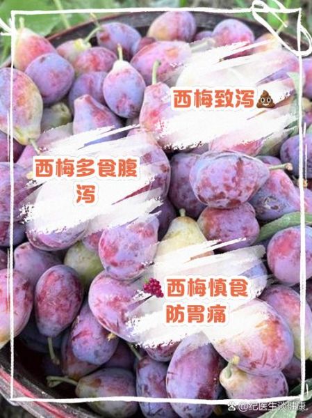 一天吃了20个西梅会怎样_西梅吃多了拉肚子怎么办-第3张图片-山城妙识