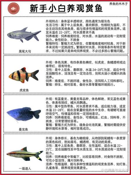 淡水观赏鱼有哪些_如何挑选热带鱼-第3张图片-山城妙识