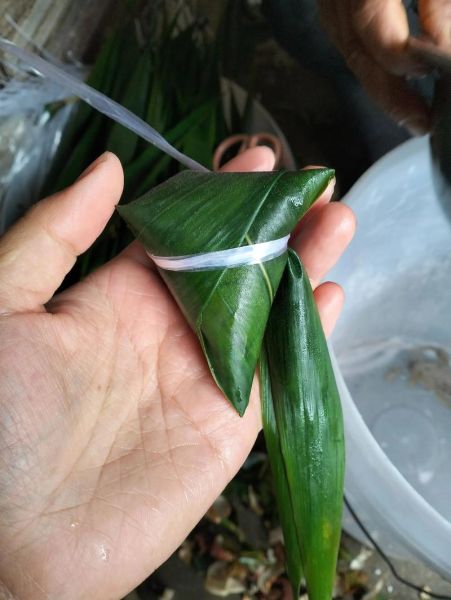 粽叶煮多久才能包粽子_粽叶煮多长时间最合适-第2张图片-山城妙识