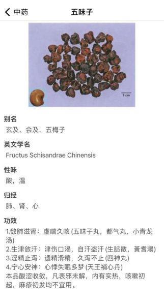 五倍子的功效与作用_五倍子外用怎么用-第1张图片-山城妙识