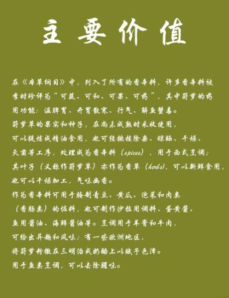 莳萝子的功效与作用_孕妇能吃莳萝子吗-第3张图片-山城妙识