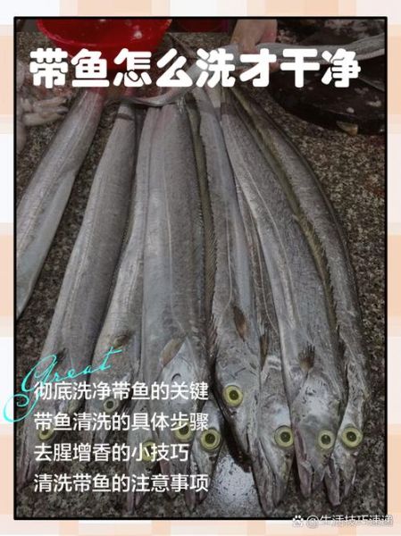 带鱼怎么处理干净_带鱼内脏怎么去除-第1张图片-山城妙识