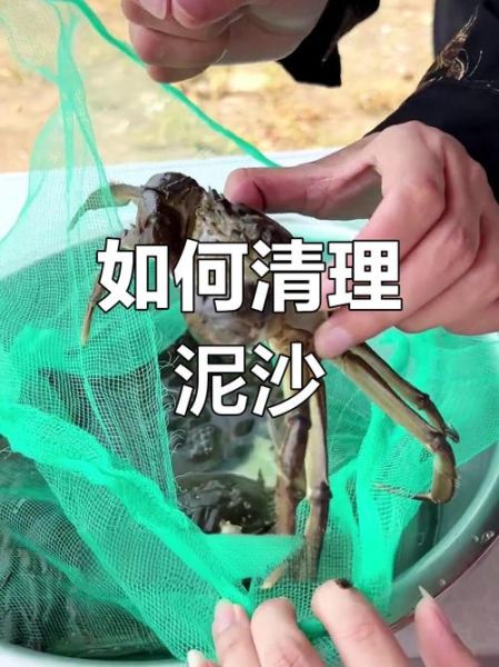 河蟹怎么洗才能洗干净_河蟹清洗的正确方法-第3张图片-山城妙识