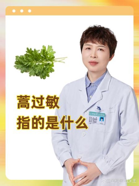 蒿草过敏症状_蒿草过敏怎么办-第3张图片-山城妙识