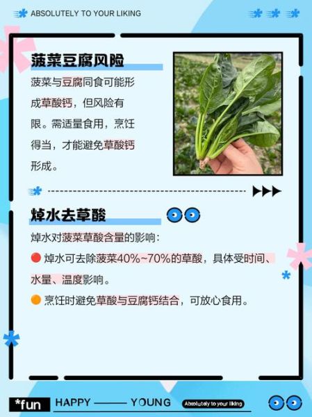 菠菜和豆腐能一起吃吗_会中毒吗-第1张图片-山城妙识