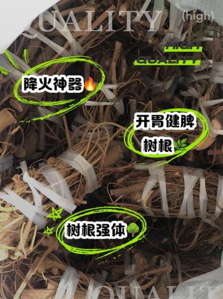 牛奶树根的功效与作用_牛奶树根怎么泡水喝-第1张图片-山城妙识