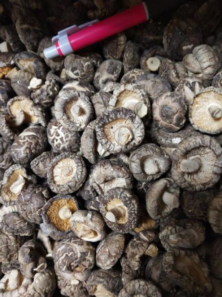 花菇图片大全及价格_花菇多少钱一斤-第3张图片-山城妙识