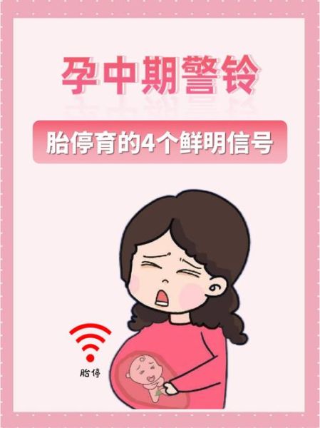 孕中期胎停的征兆_如何避免胎停-第3张图片-山城妙识