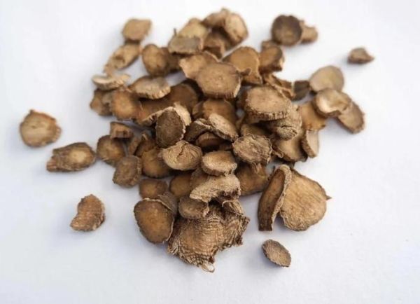 川牛膝和怀牛膝的区别_如何辨别真假川牛膝-第3张图片-山城妙识 川牛膝和怀牛膝的区别_如何辨别真假川牛膝-第3张图片-山城妙识