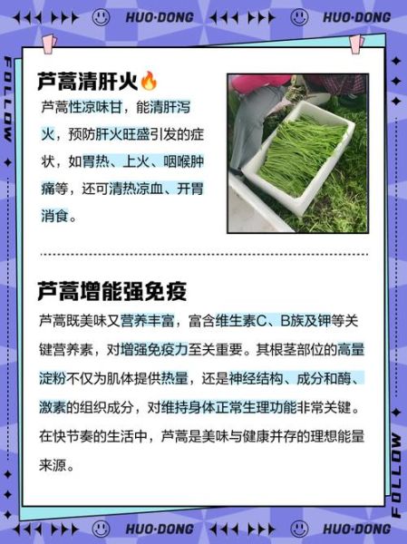 芦蒿的营养价值_芦蒿怎么吃最健康-第2张图片-山城妙识 芦蒿的营养价值_芦蒿怎么吃最健康-第2张图片-山城妙识