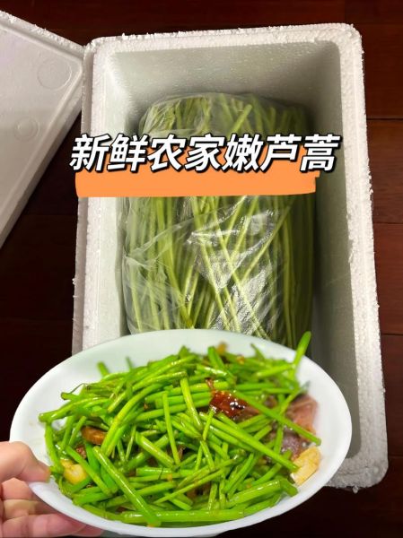 芦蒿的营养价值_芦蒿怎么吃最健康-第3张图片-山城妙识 芦蒿的营养价值_芦蒿怎么吃最健康-第3张图片-山城妙识