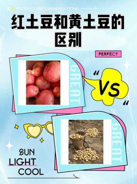 红土豆和普通土豆有什么区别_哪个更好吃-第1张图片-山城妙识
