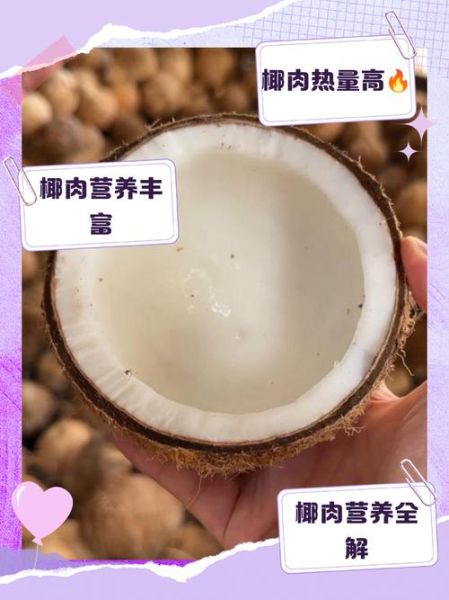 椰肉营养价值高吗_椰肉热量高不高-第1张图片-山城妙识