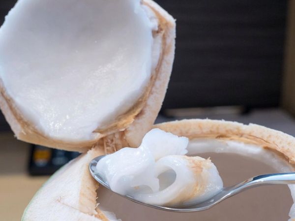 椰肉营养价值高吗_椰肉热量高不高-第2张图片-山城妙识