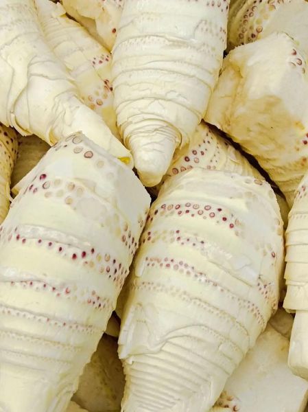 笋干表面白霜是霉吗_如何辨别霉变-第2张图片-山城妙识