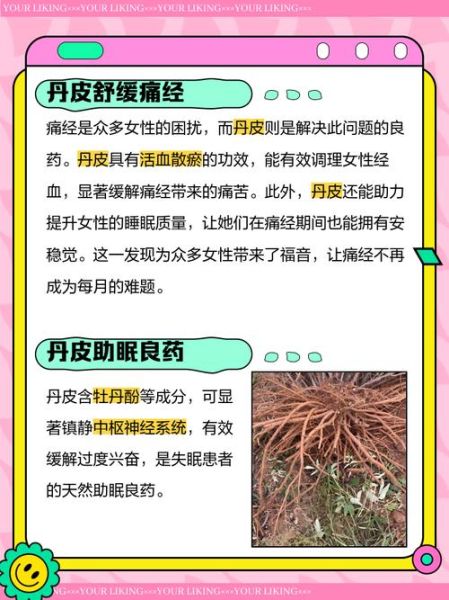 丹皮的功效与作用禁忌_丹皮配伍禁忌有哪些-第2张图片-山城妙识