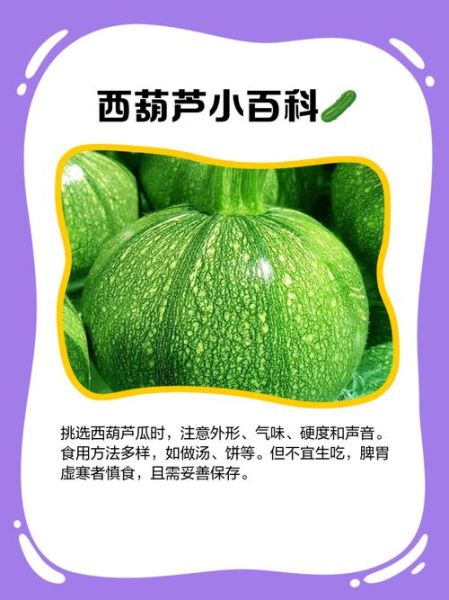 西葫芦为什么叫法这么多_各地别名全解析-第3张图片-山城妙识