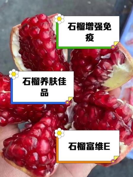 突尼斯软籽石榴对女人有什么好处_经期能吃吗-第1张图片-山城妙识
