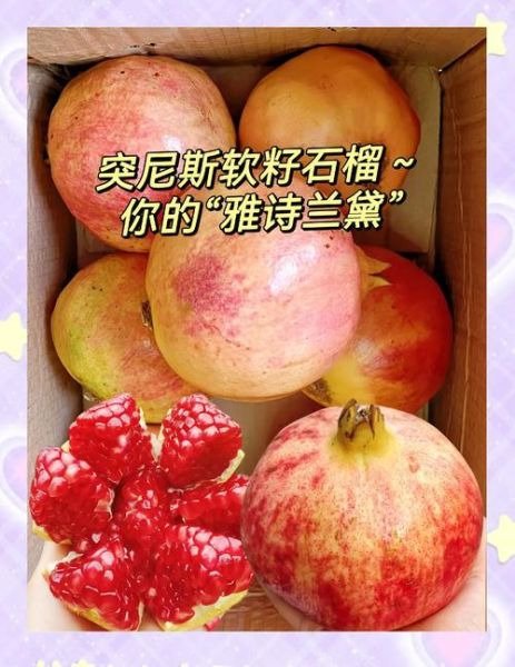 突尼斯软籽石榴对女人有什么好处_经期能吃吗-第3张图片-山城妙识