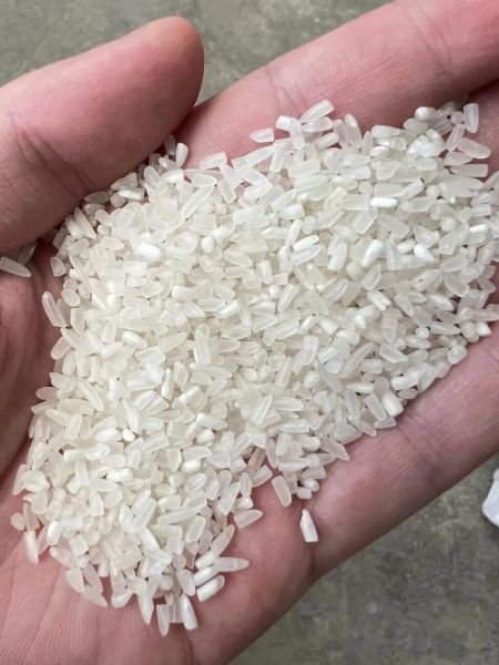 大米图片大全大图_如何挑选优质大米-第3张图片-山城妙识 大米图片大全大图_如何挑选优质大米-第3张图片-山城妙识