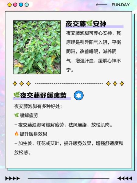 夜交藤治疗失眠的用法_夜交藤怎样服用-第1张图片-山城妙识