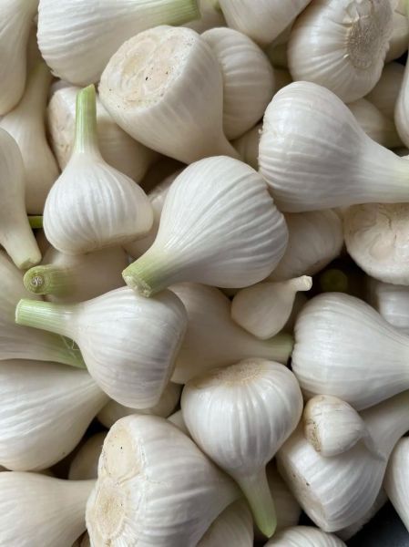 怎样腌大蒜头又好吃又简单_腌大蒜头家常做法-第3张图片-山城妙识